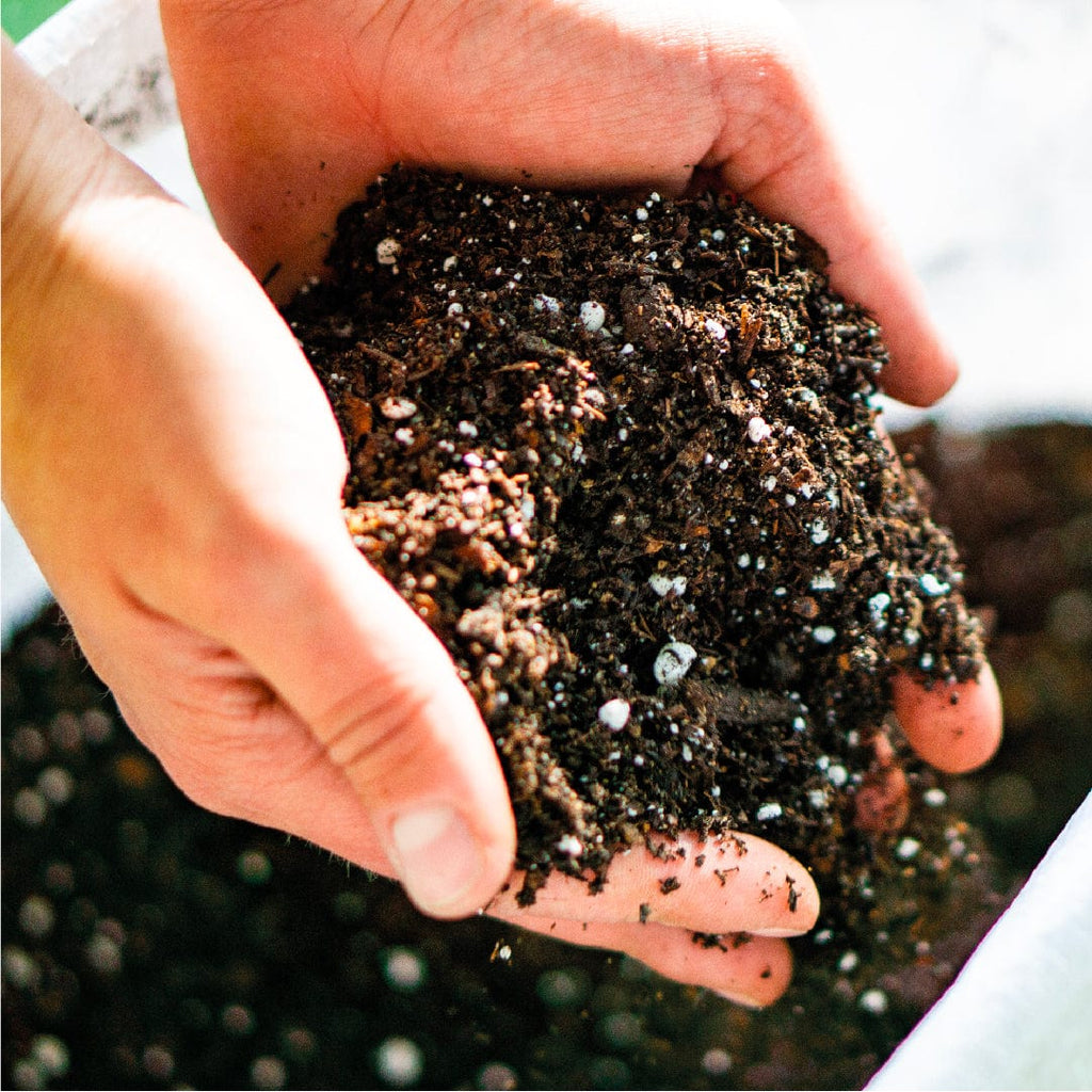 Sustratos y Tierras — Diplas